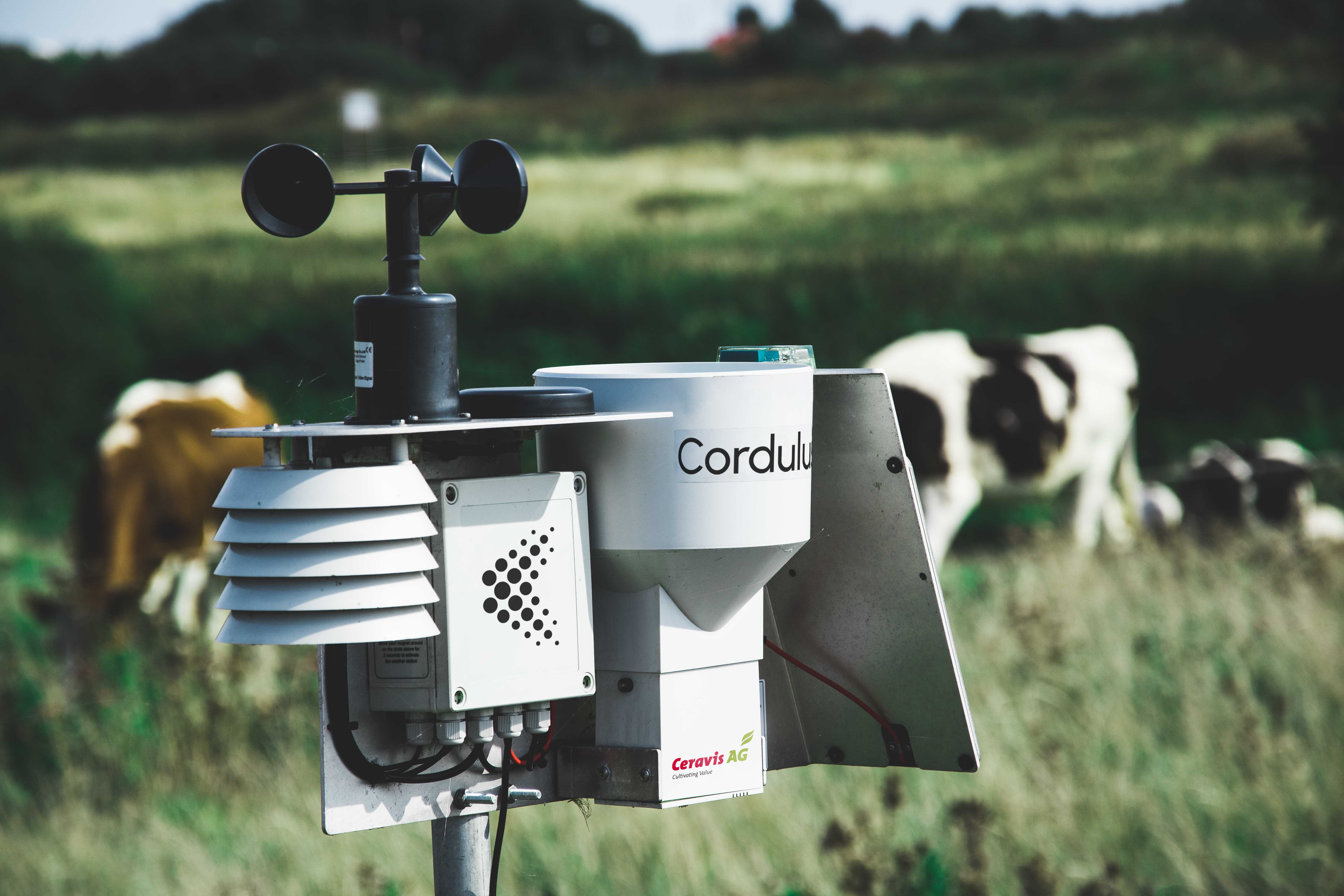 Cordulus Farm Station